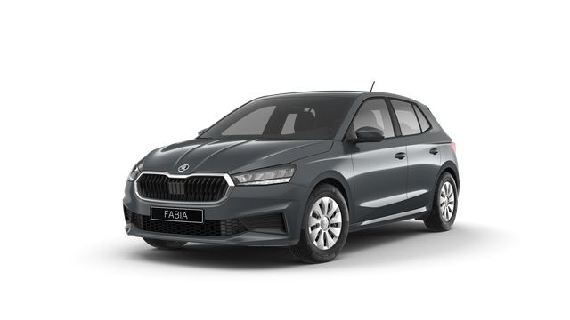 Private lease Skoda Fabia - XLEasy.nl